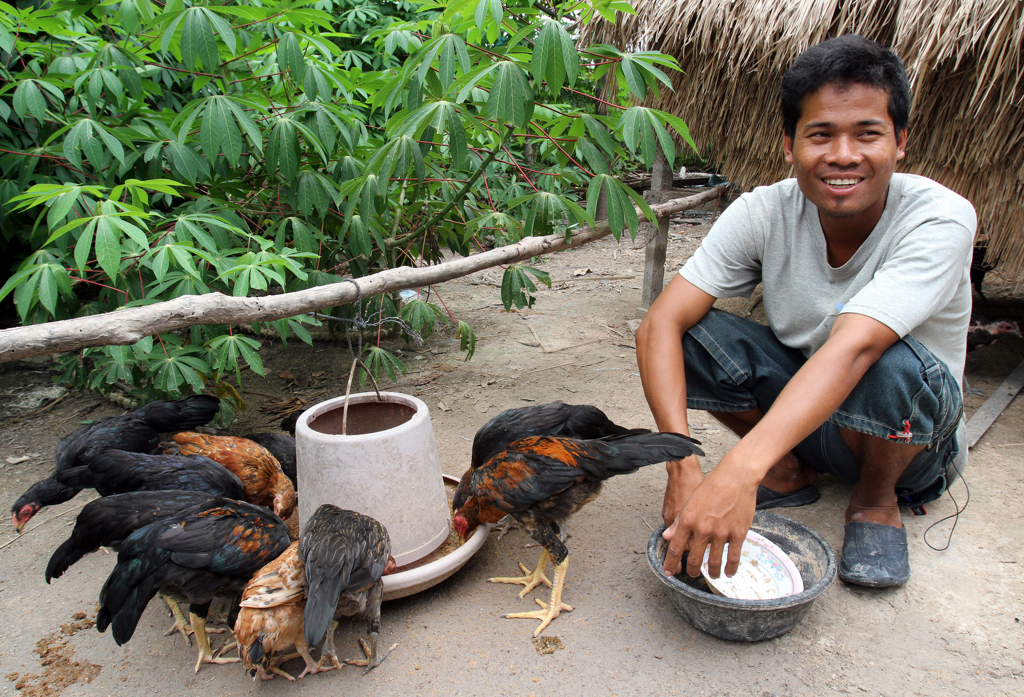 Decentralization and deconcentration | Open Development Cambodia (ODC)