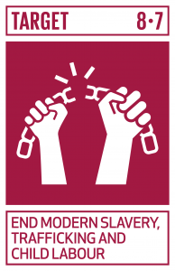 SDG 8 Decent work and economic growth | Open Development Cambodia (ODC)