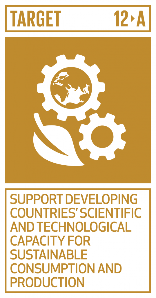 SDG 12 Responsible consumption and production | Open Development ...