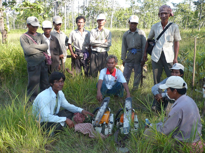 ការការពារព្រៃឈើ | Open Development Cambodia (ODC)