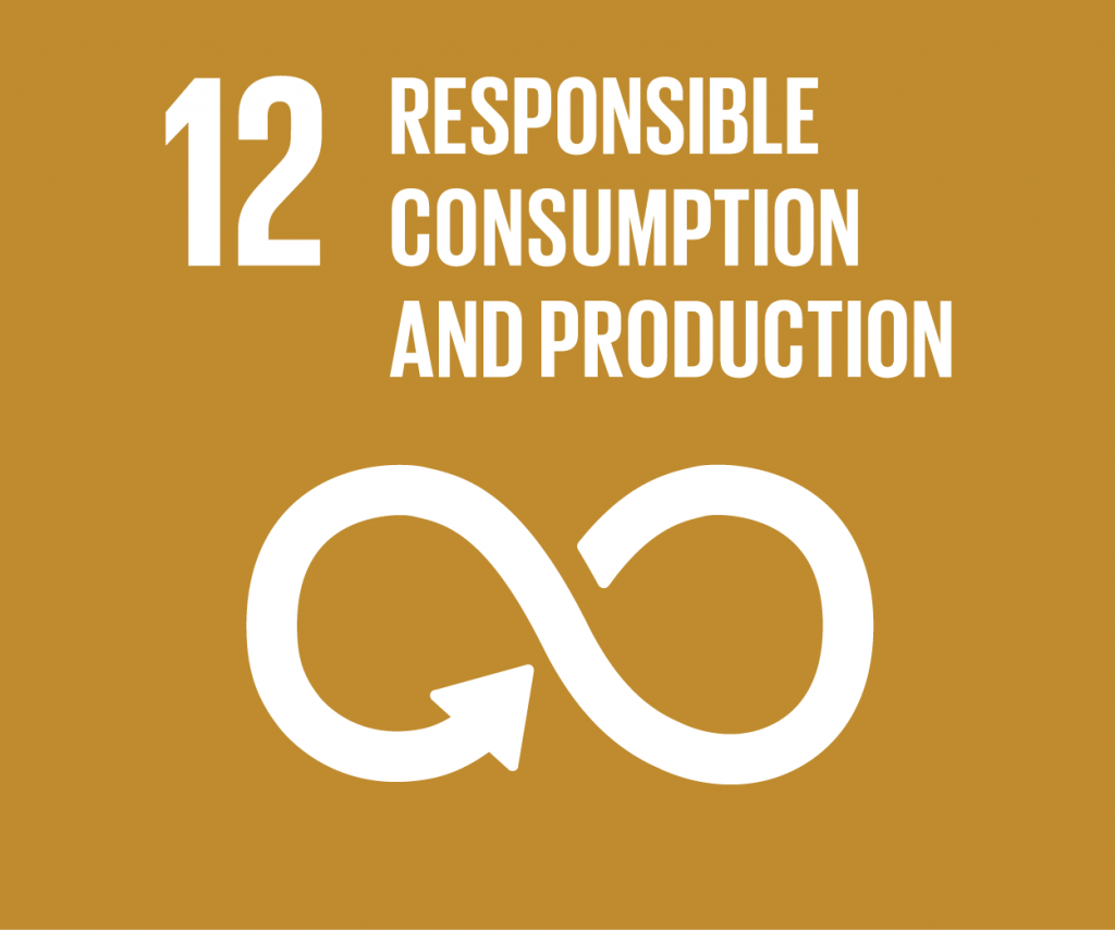 SDG 12 Responsible consumption and production | Open Development ...
